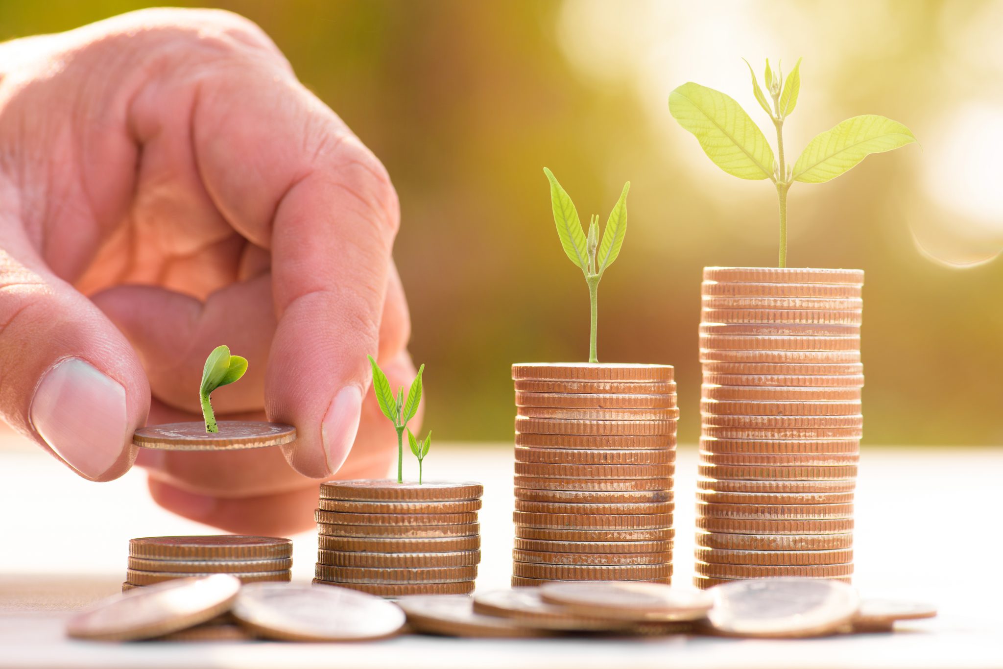 Pension Options Explained | Annuity vs Drawdown